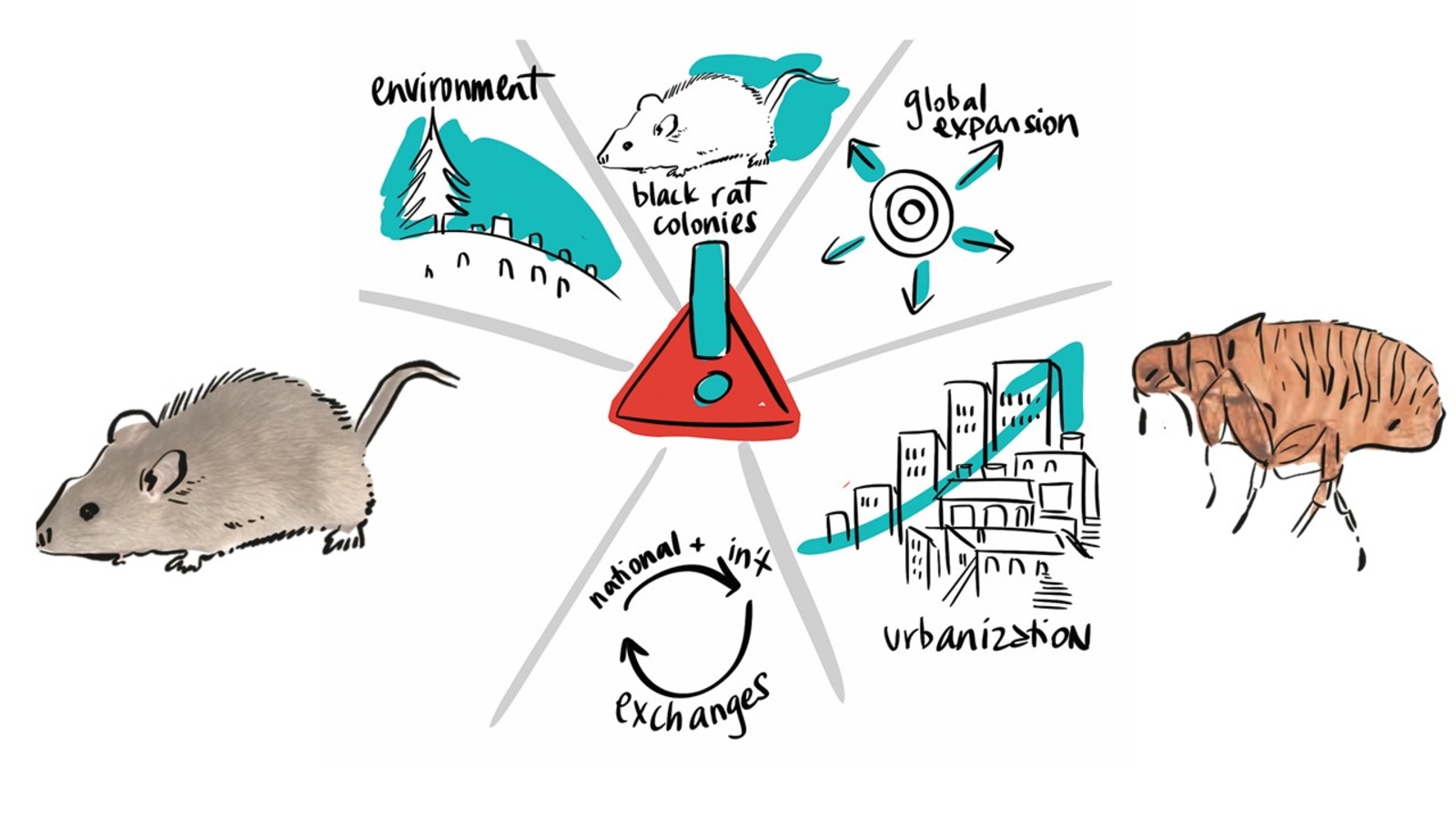 OpenWHO.org - Infectious diseases